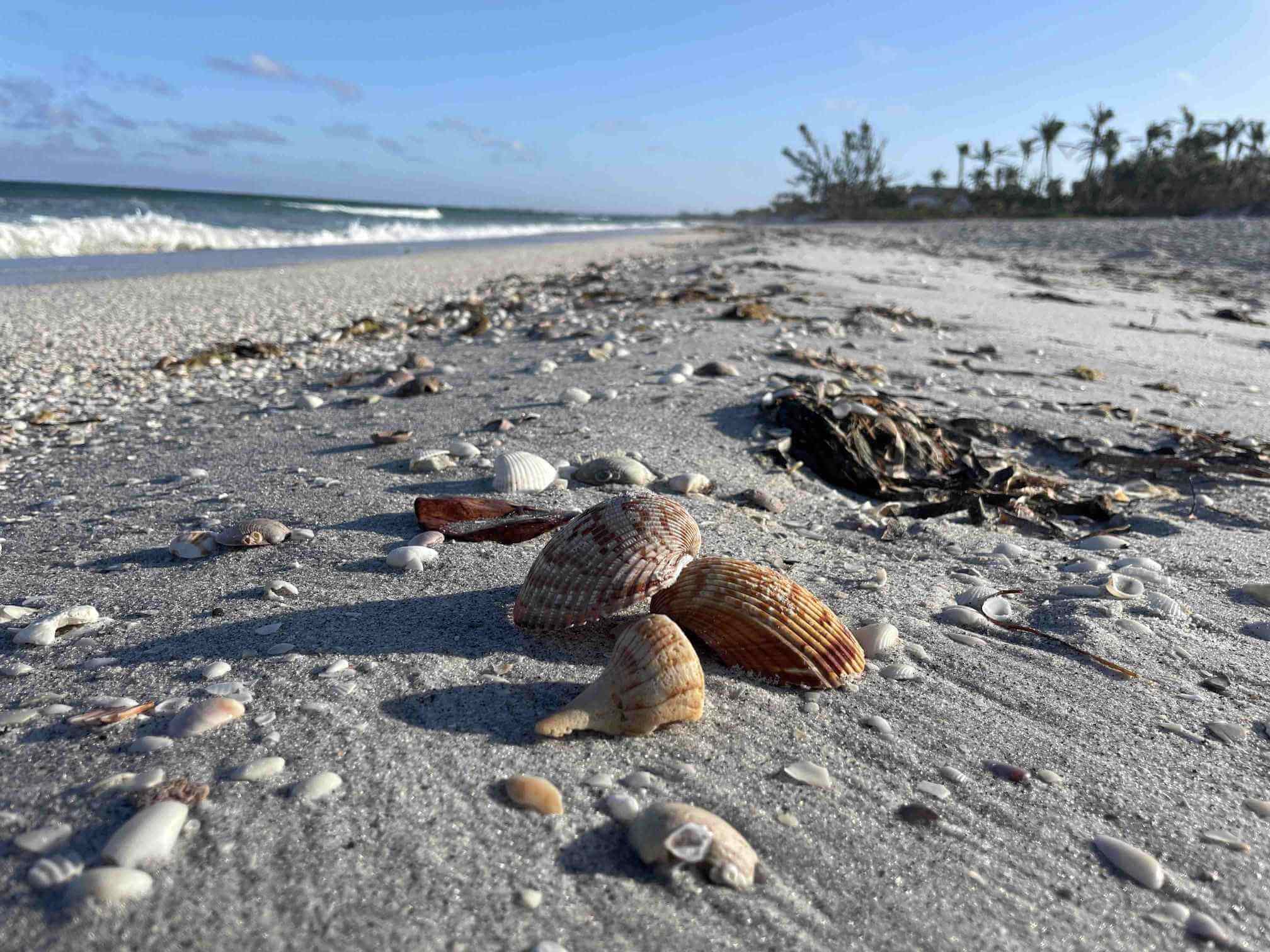 Manasota Key Travel Guide: Off the Beaten Path - thebackseatview.com